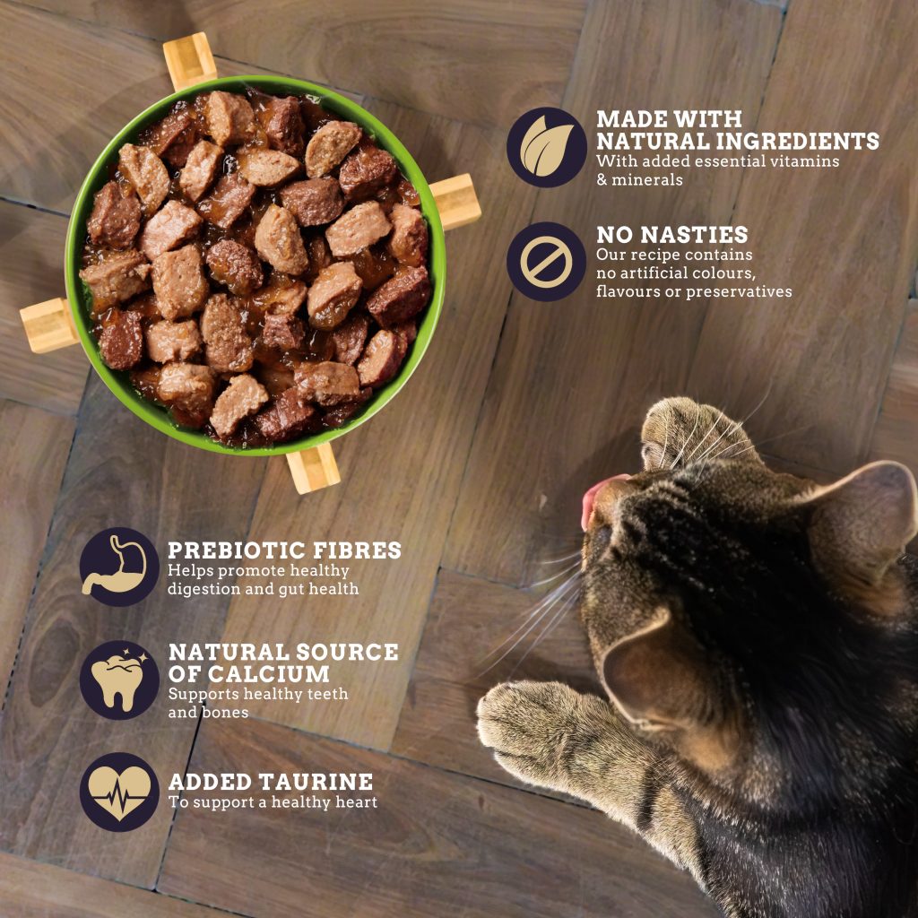 Webbox Naturals, Selection Jelly Wet Food for Kittens - Pet Range