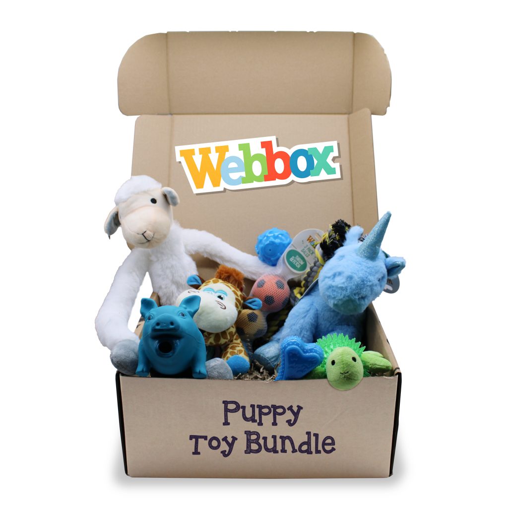 Webbox, Puppy Toy Bundle Blue - Pet Range
