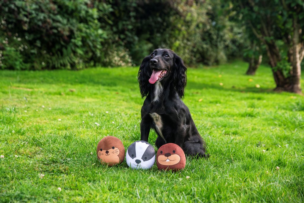 Webbox, Dog Toy Throw Wildlife Squishys - Pet Range