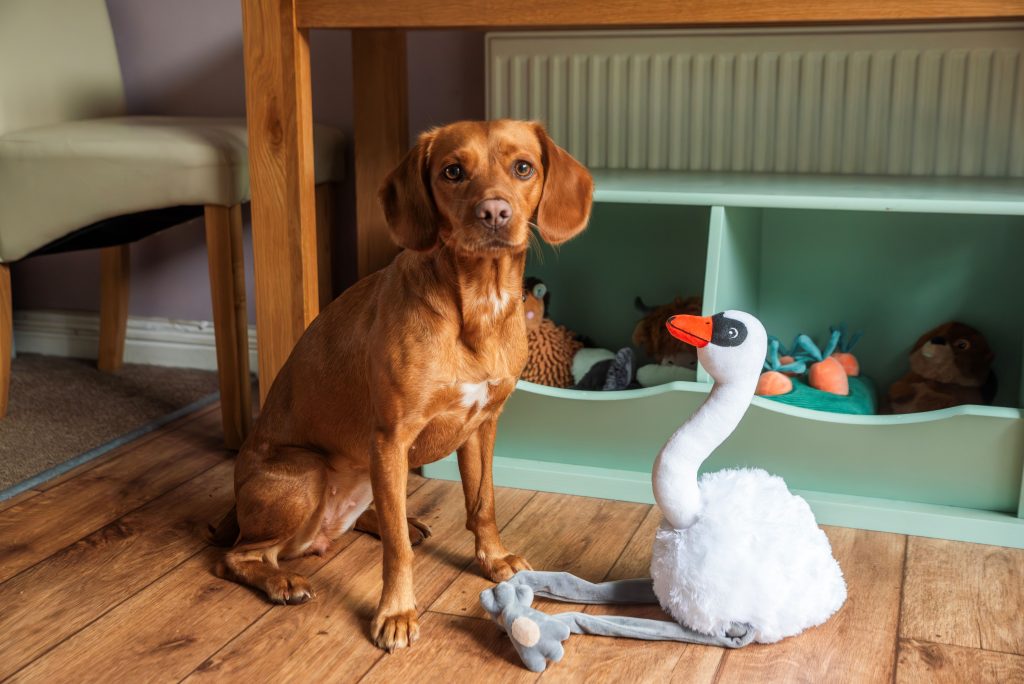 Webbox, Cuddle Long Legs Swan Dog Toy - Pet Range