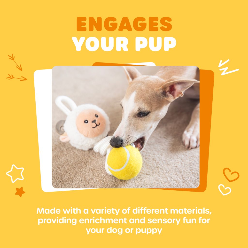 Webbox, Rope & Ball Goat Dog Toy - Pet Range