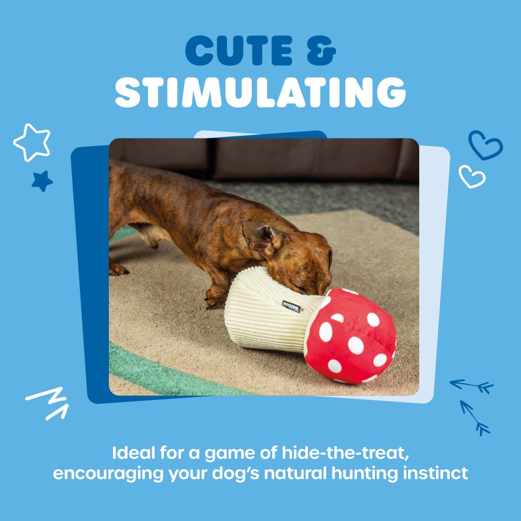 Webbox, Interactive Badger & Mushroom House Dog Toy - Pet Range